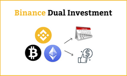 Buy Low & Sell High With Binance Dual Investment: Here's How To