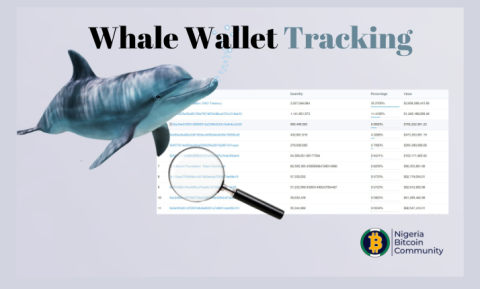 The Ultimate Guide to Tracking Whale Crypto Wallets